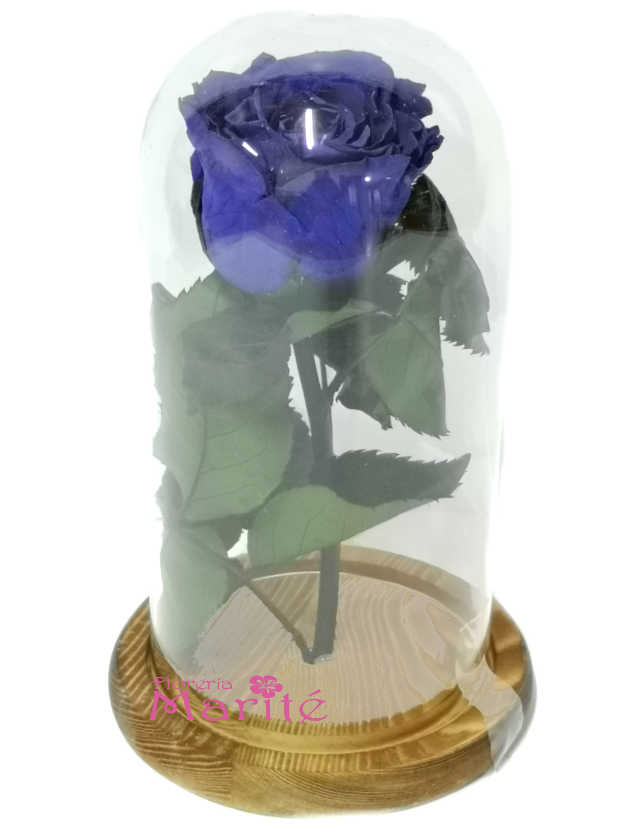 Bella Azul – Floreriamarite.cl