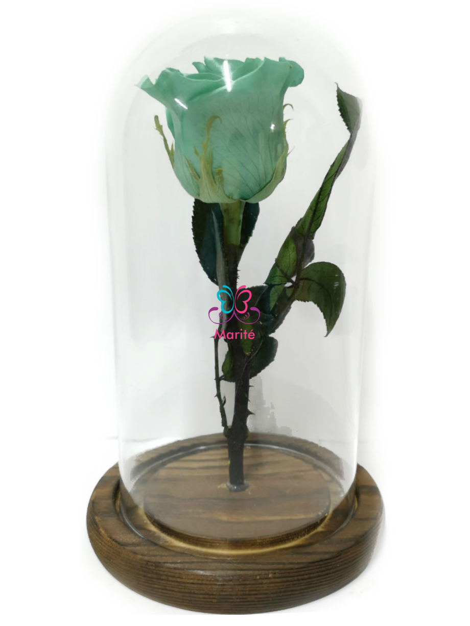 Bella Marina – Floreria Marite